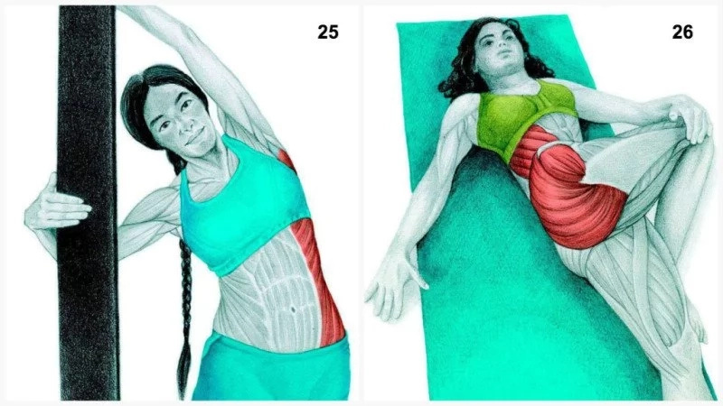 34 Pictures To See Which Muscle You Are Stretching