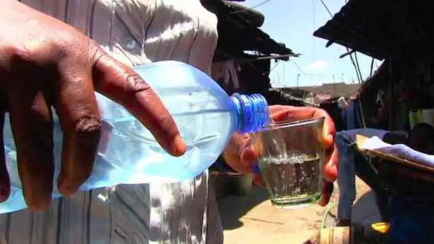 This video of Luhya's making Busaa in USA will leave you in stitches ...